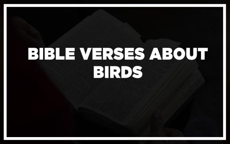 31 Bible Verses About Birds (with Related Verses) - bibleresolute.com