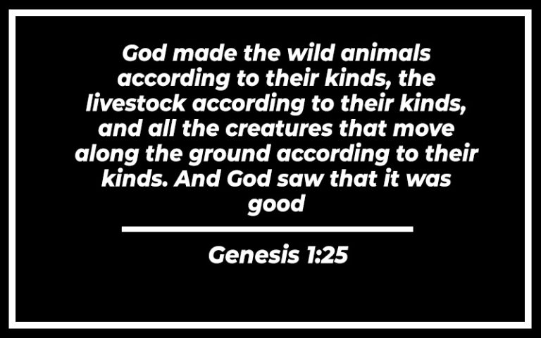 31 Bible Verses About Animals (with Related Verses) - bibleresolute.com