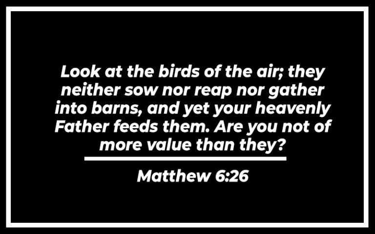 31 Bible Verses About Birds (with Related Verses) - bibleresolute.com