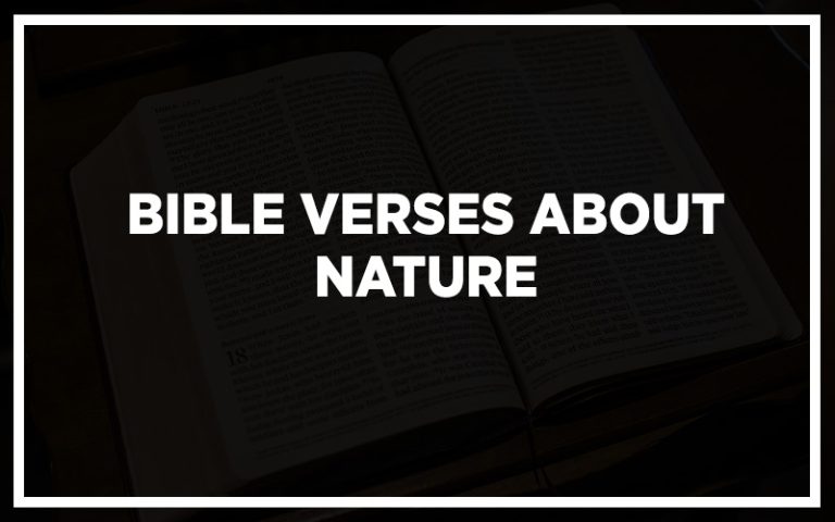 31 Short Bible Verses About Nature (with Related Verses ...